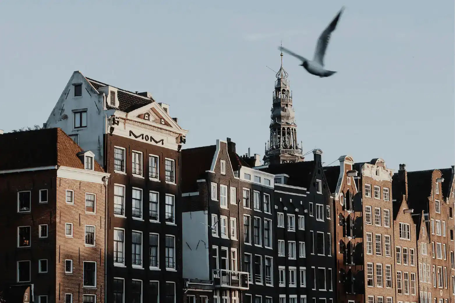 Netherlands Visa From Dubai UAE | Netherlands Visa Requirements